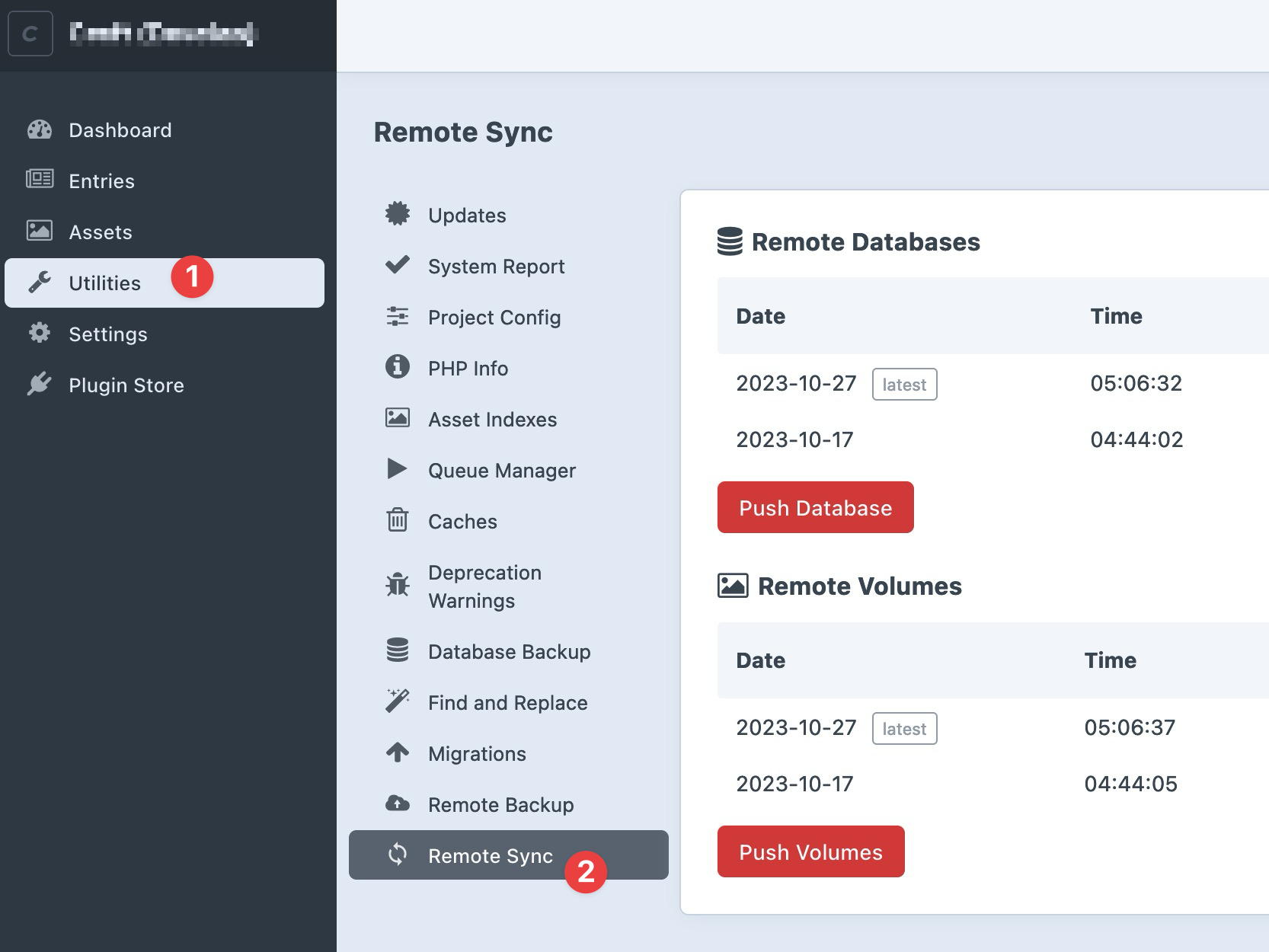 Using the Remote Sync Craft CMS Plugin for Regular Syncs